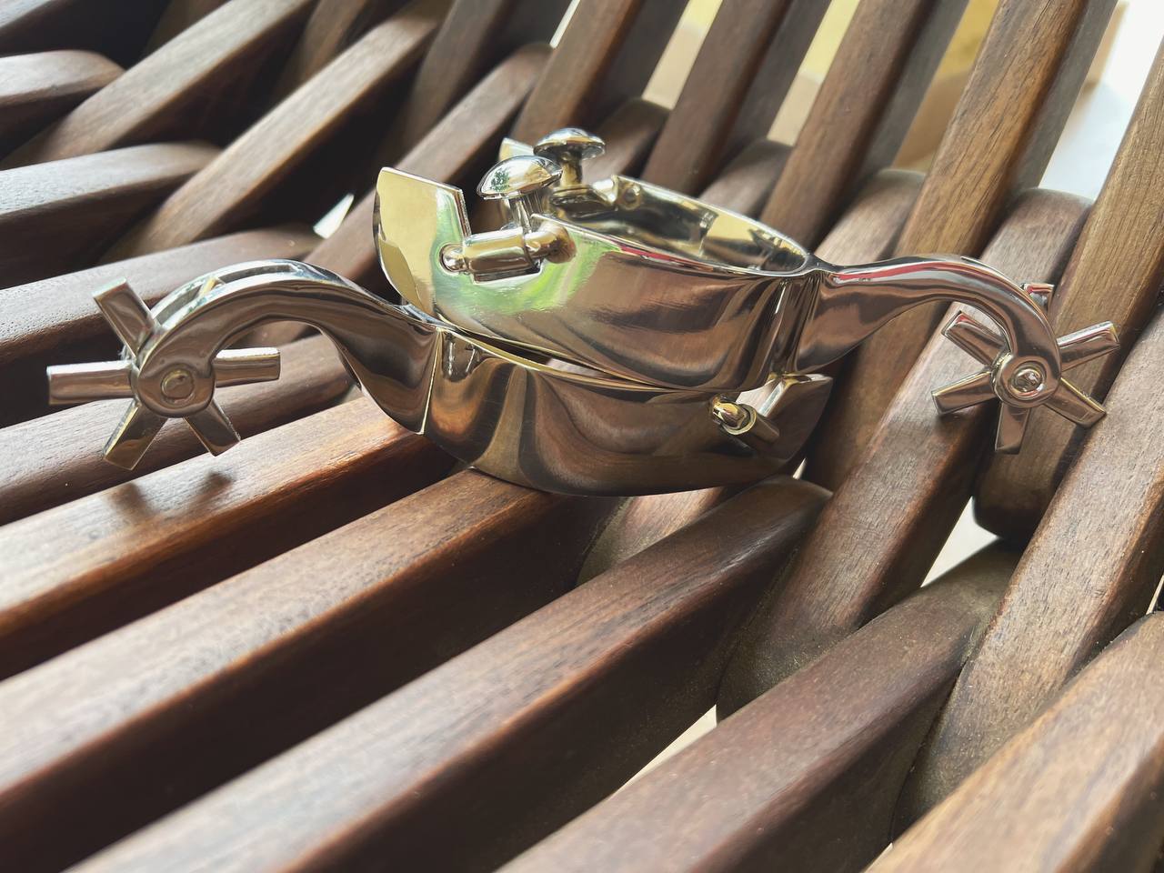 Steinless Steel Spurs Rowel 6 points – Burro Tack