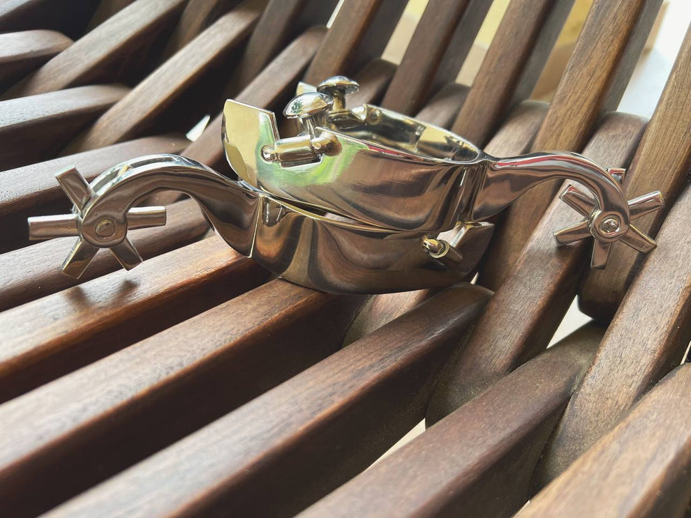 Steinless Steel Spurs Rowel 6 points – Burro Tack