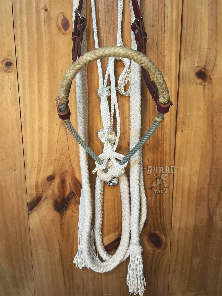 Hackamore/ Bosal / Cavesson – Burro Tack