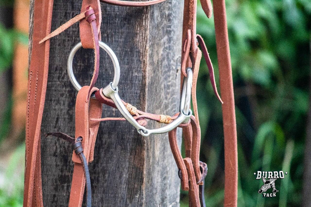 Snaffle O ring bit – Burro Tack